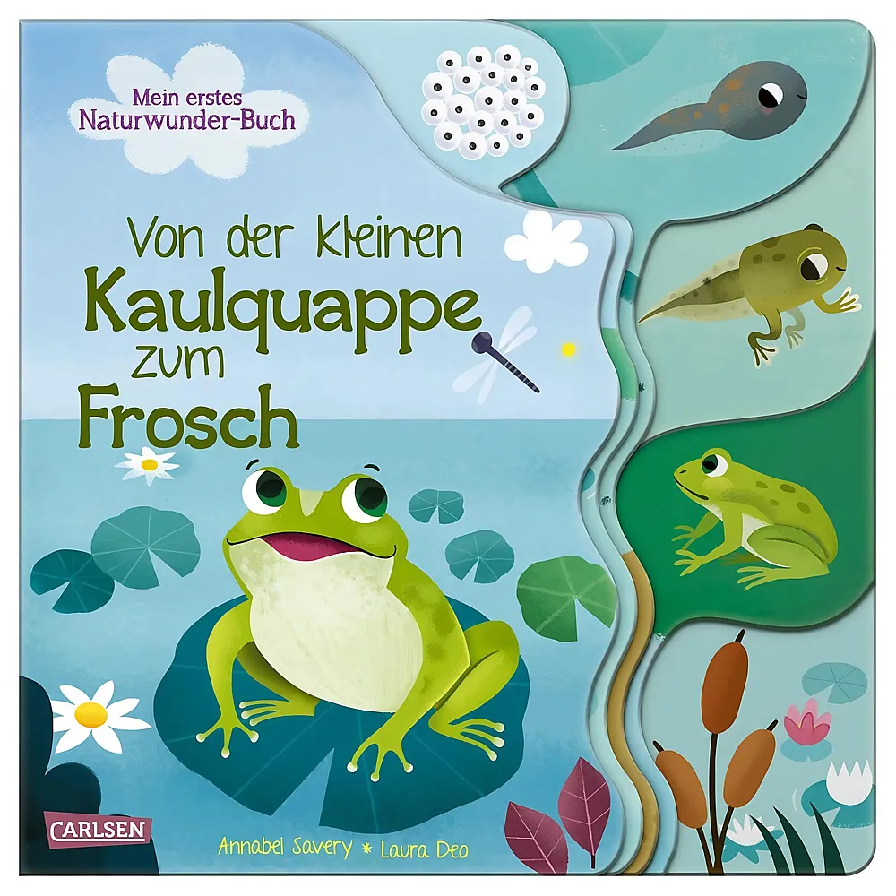 meinspielzeug - Carlsen Von der kleinen Kaulquappe zum Frosch | Papp ...